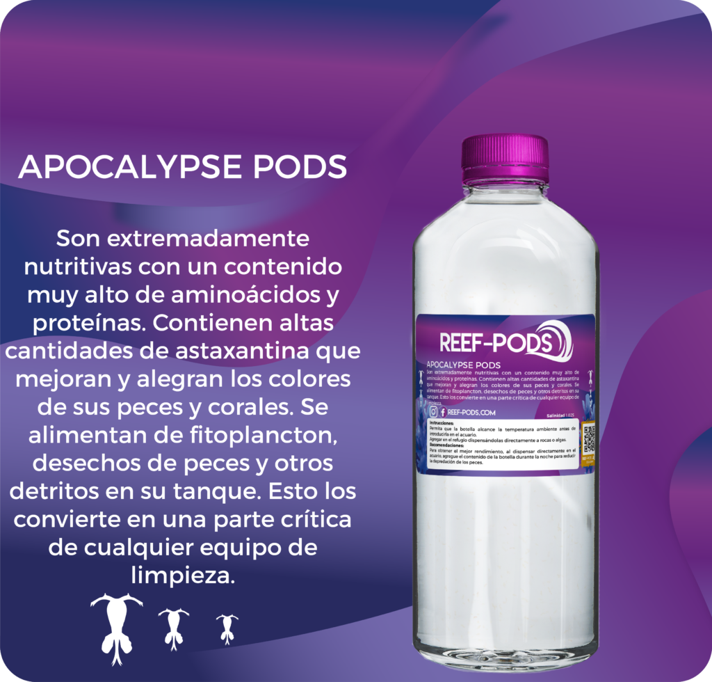 APOCALYPSE PODS 500ml | REEF PODS | Copépodos | Macroalgas | Microfauna ...