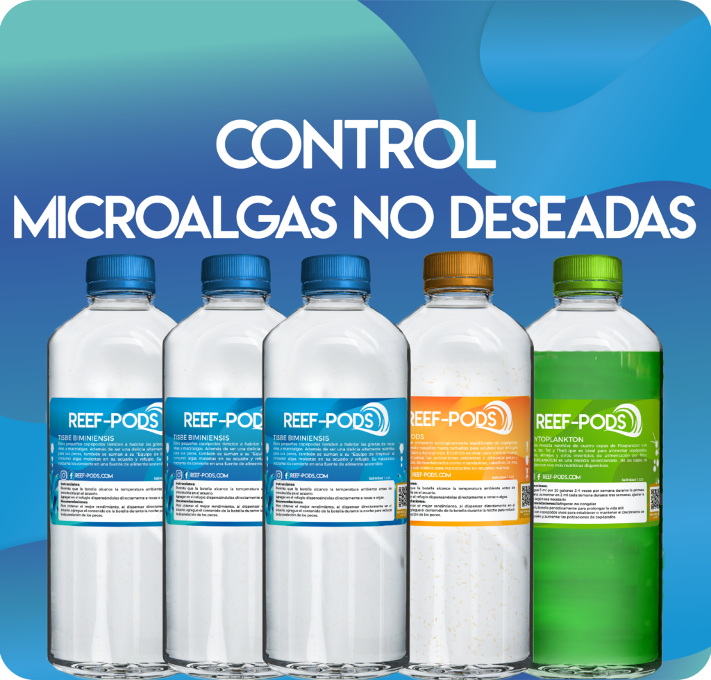 Copépodos Control de Microalgas No Deseadas pack | REEF PODS ...