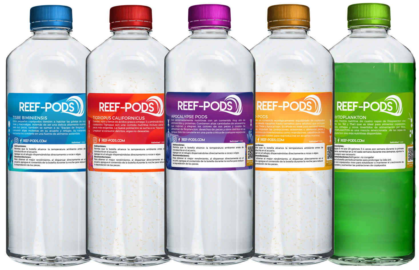 REEF PODS | Copépodos | Macroalgas | Microfauna Marina REEF PODS ...