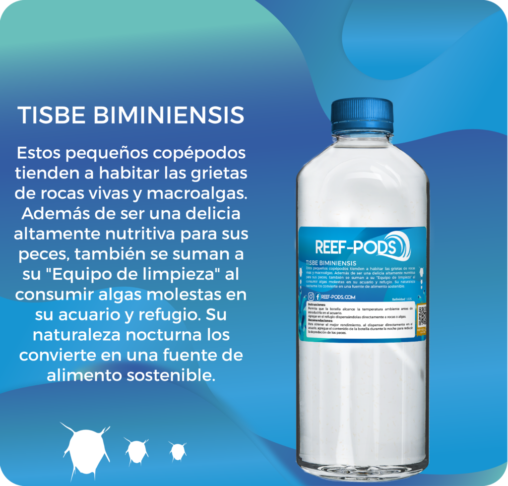 TISBE BIMINIENSIS 500ml | REEF PODS | Copépodos | Macroalgas ...