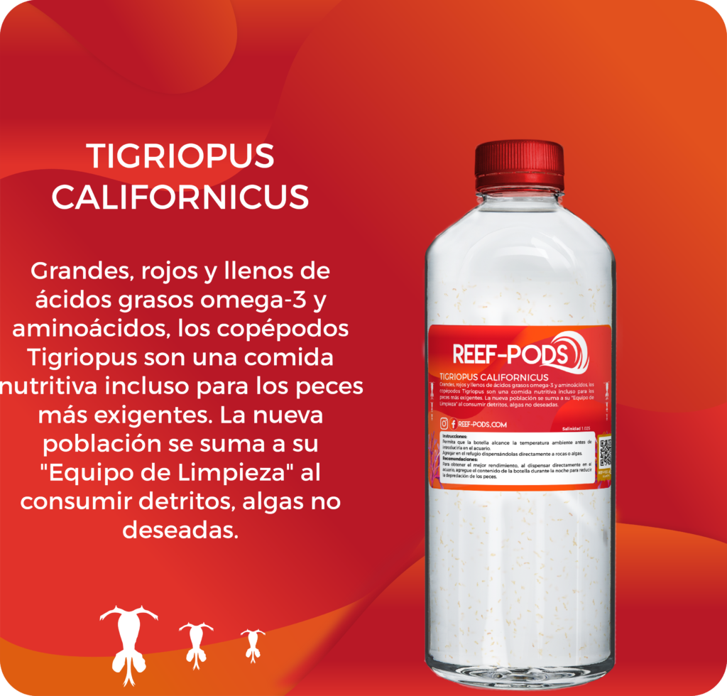 TIGRIOPUS CALIFORNICUS 500ml | REEF PODS | Copépodos | Macroalgas ...
