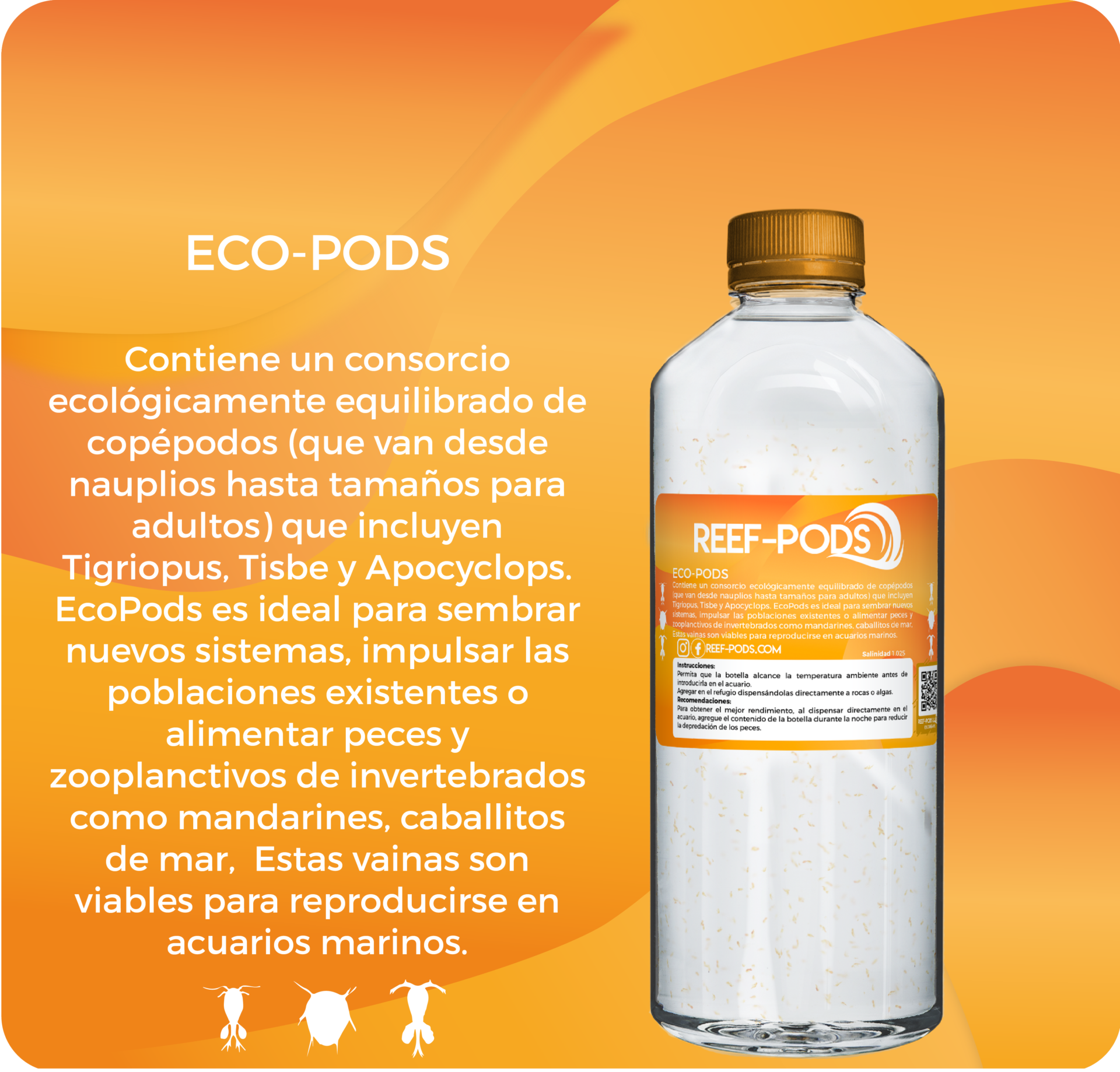 Tienda | REEF PODS | Copépodos | Macroalgas | Microfauna Marina